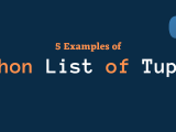5 Examples Of Python List Of Tuples Askpython