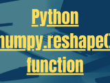 Python Numpy Reshape Function Askpython