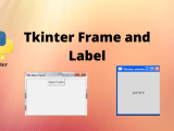 Python Tkinter Frame Label