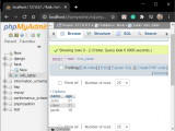 Flask Mysql Setting Up A Flask And Mysql Database Connection Askpython