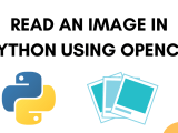 Read Images In Python Using Opencv Askpython