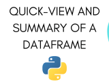 Dataframes In Python Quick View And Summary Askpython