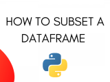 How To Subset A Dataframe In Python Askpython