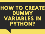 Creating Dummy Variables In Python Askpython