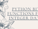 Python Bit Functions For Integer Data With Easy Explanation Askpython
