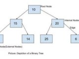 Binary Tree Implementation In Python Askpython