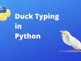 Duck Typing In Python Askpython