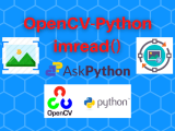 Python Imread Image Loading With Opencv Imread Askpython