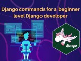 8 Common Django Commands That You Must Know Askpython