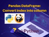 Turn Index To Column In A Pandas Dataframe Askpython