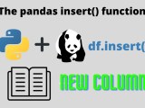 The Pandas Dataframe Insert Function A Complete Guide Askpython
