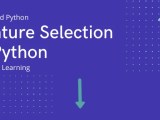 Feature Selection In Python A Beginner S Reference Askpython