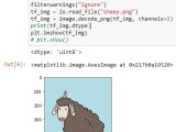 5 Ways To Display Images In Python Askpython