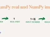 A Complete Guide To Numpy Real And Numpy Imag Askpython