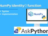 Numpy Identity Function Return A Square Array With Ones On Its Main