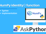 Numpy Identity Function Return A Square Array With Ones On Its Main