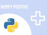 How To Use Numpy Positive In Python Askpython