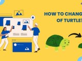 How To Draw A Dog In Python Turtle