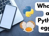 Python Egg Files What Are They And How To Create Egg Files Askpython