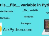 What Is File Variable In Python Askpython