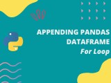 Python Append Dataframes In Loop Infoupdate Org