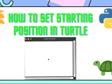 Python How To Set Starting Position In Turtle Askpython