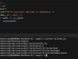 How Do I Import Other Python Files Askpython