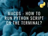 Macos How To Run Python Script On The Terminal Askpython