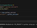 How Do I Detect The Python Version At Runtime Askpython