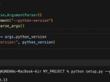 How Do I Detect The Python Version At Runtime Askpython