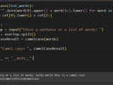 Regex Check For Camel Case In Python Askpython