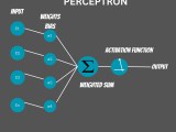 Complete Guide To The Perceptron Algorithm In Machine Learning Askpython