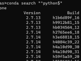 How To Change The Python Version Of The Conda Virtual Environment