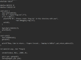 Binary Exploitation