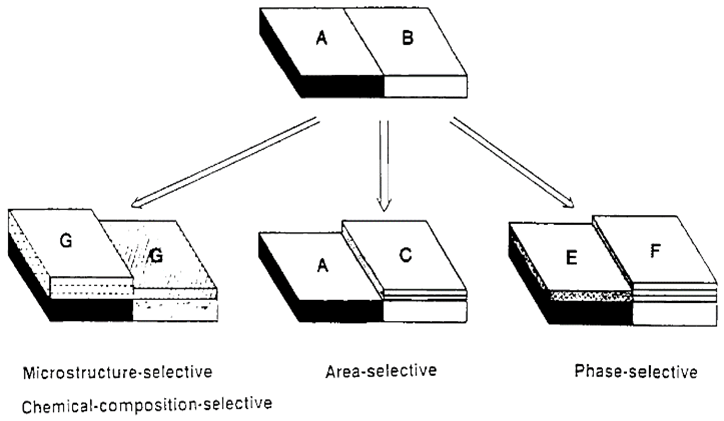 Topographically selective processing – Taking selectivity up a notch by ...