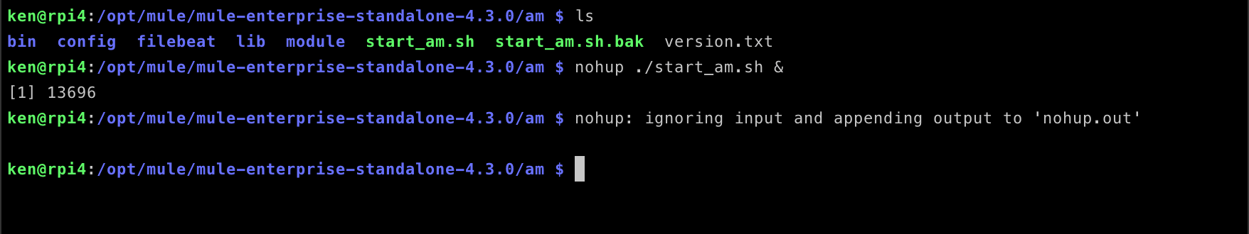MuleSoft Anypoint Monitoring and Mule on a Raspberry Pi