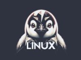 Best Linux Distros For Beginners In 2025 Ranked Compared Atulhost