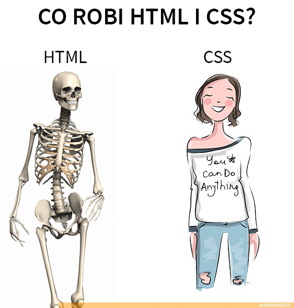 Kurs z HTML i CSS dla początkujących - budujemy stronę