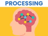 Sensory Processing What You Need To Know Autism360