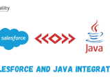 Step By Step Instructions For Launching Java Integration With