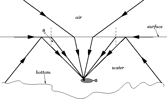 Fish – A.Z. Andis Arietta