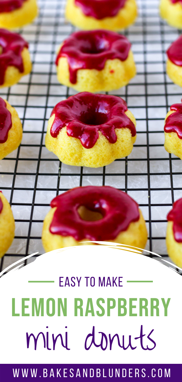 Mini Lemon Raspberry Donuts - Bakes and Blunders