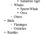 Nested List Bapu Graphics