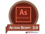Learn Action Script 3 Course From Best Institute In Delhi