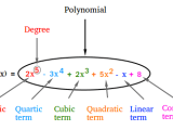 Examples Of A Polynomial Degree