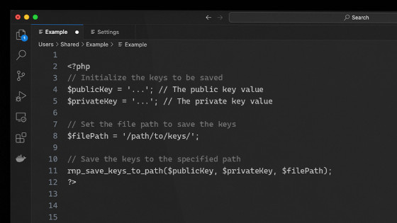 Basic Example Of Php Function Rnp Backend String - Premium Colorful Design Gallery - 4K