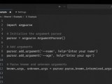 Basic Example Of Argparse Argumentparser Get Default In Python