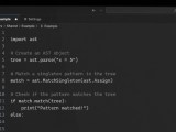 Basic Example Of Ast Matchmapping In Python