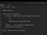Basic Example Of Asyncio Subprocess Process Stderr In Python