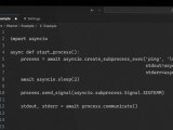 Basic Example Of Python Function Asyncio Subprocesstransport Kill